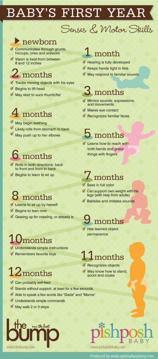 Everything You Need to Know About Baby’s First Year [INFOGRAPHIC ...