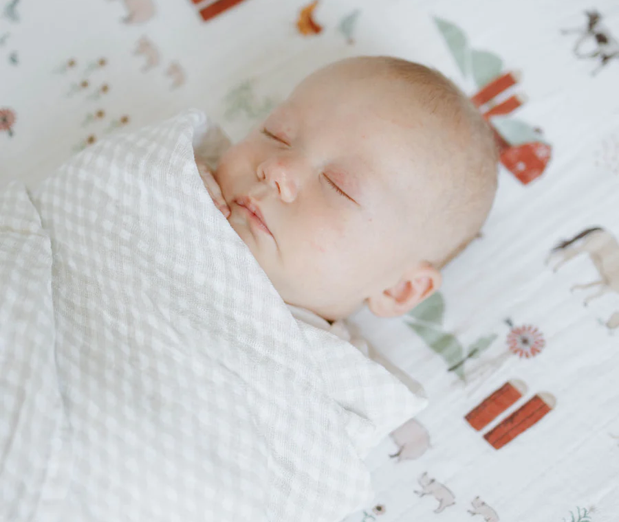 Common Baby Sleep Challenges And How To Tackle Them | Pish Posh Baby